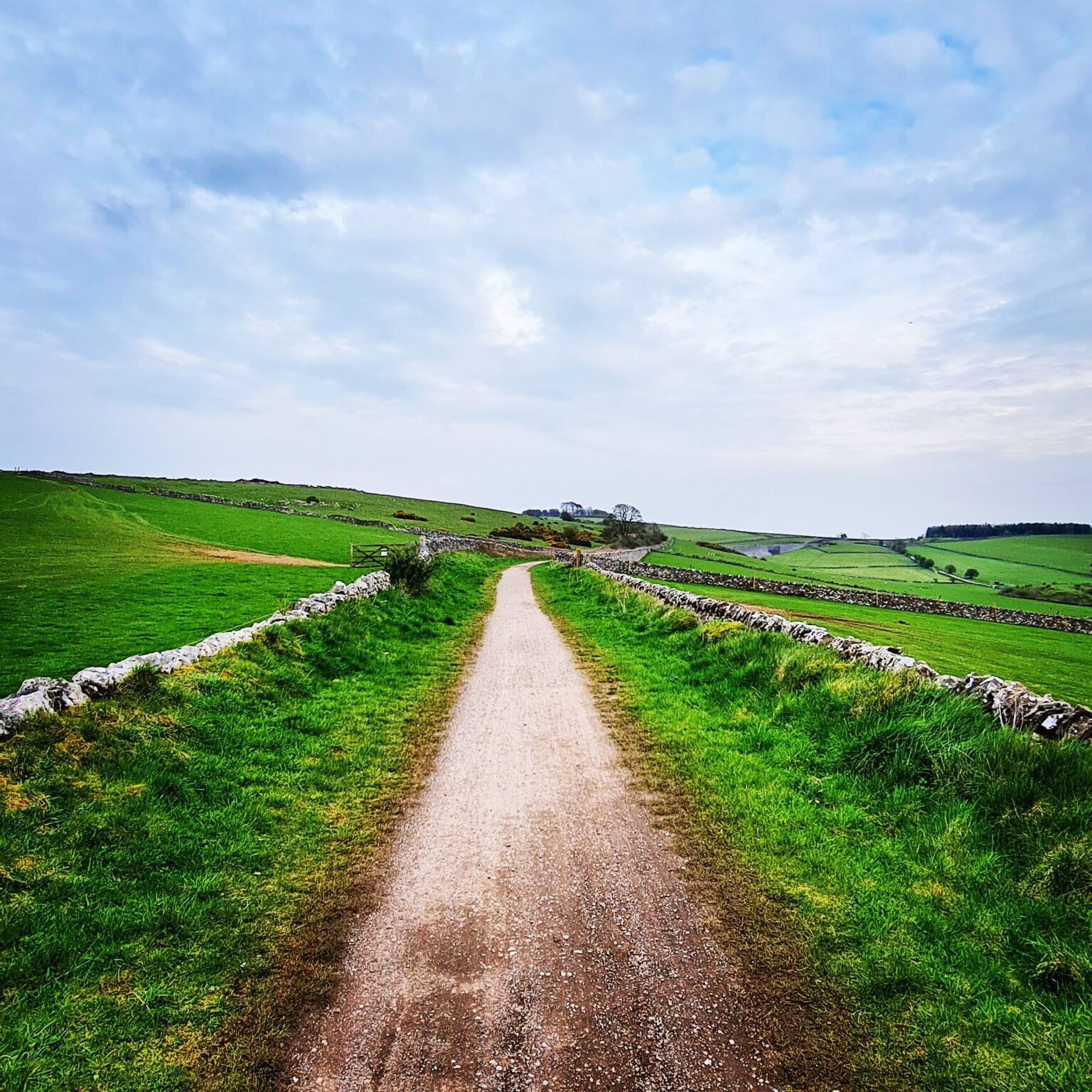 Minninglow Hill: A Window into the Prehistoric Past of the Peak ...