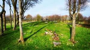 Minninglow Hill: A Window into the Prehistoric Past of the Peak ...