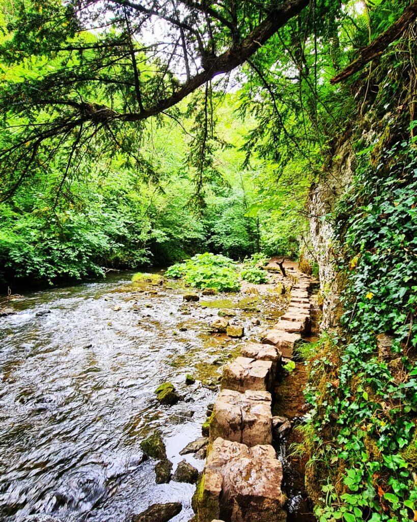 A Historic Journey from Millers Dale to Chee Dale and Beyond – Papa ...