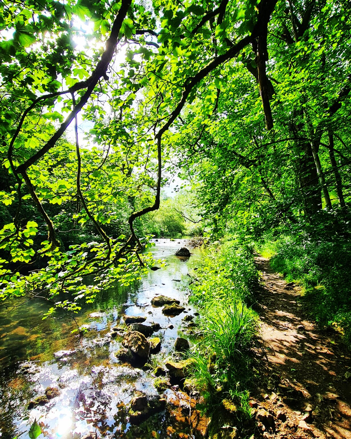 A Historic Journey from Millers Dale to Chee Dale and Beyond – Papa ...