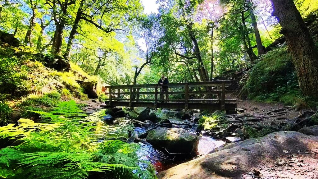 A Fairytale Unveiled: Late Summer Magic in Padley Gorge’s Enchanted ...