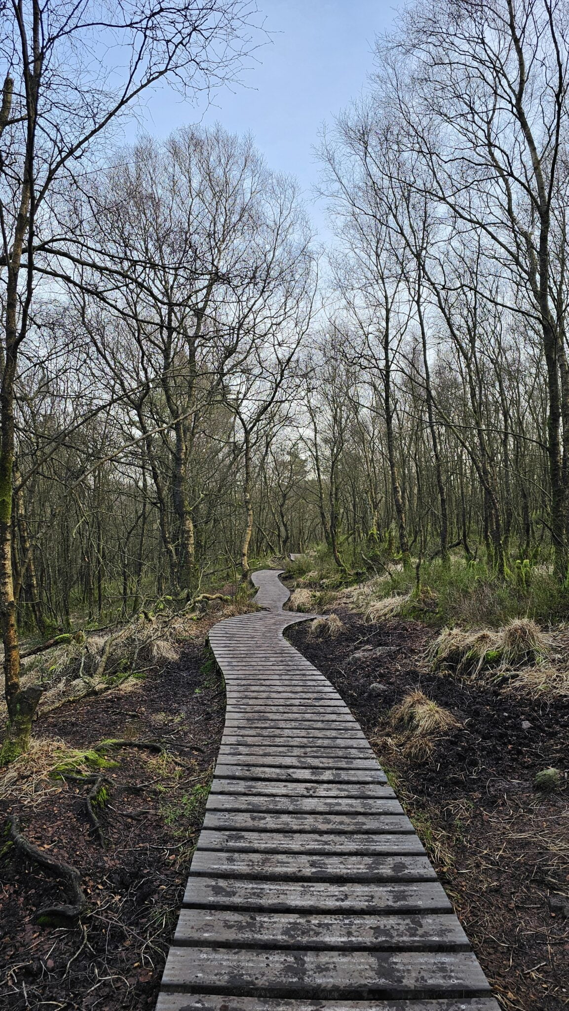 Embark on an Enchanting Journey: Lud’s Church – A Geological Marvel in ...