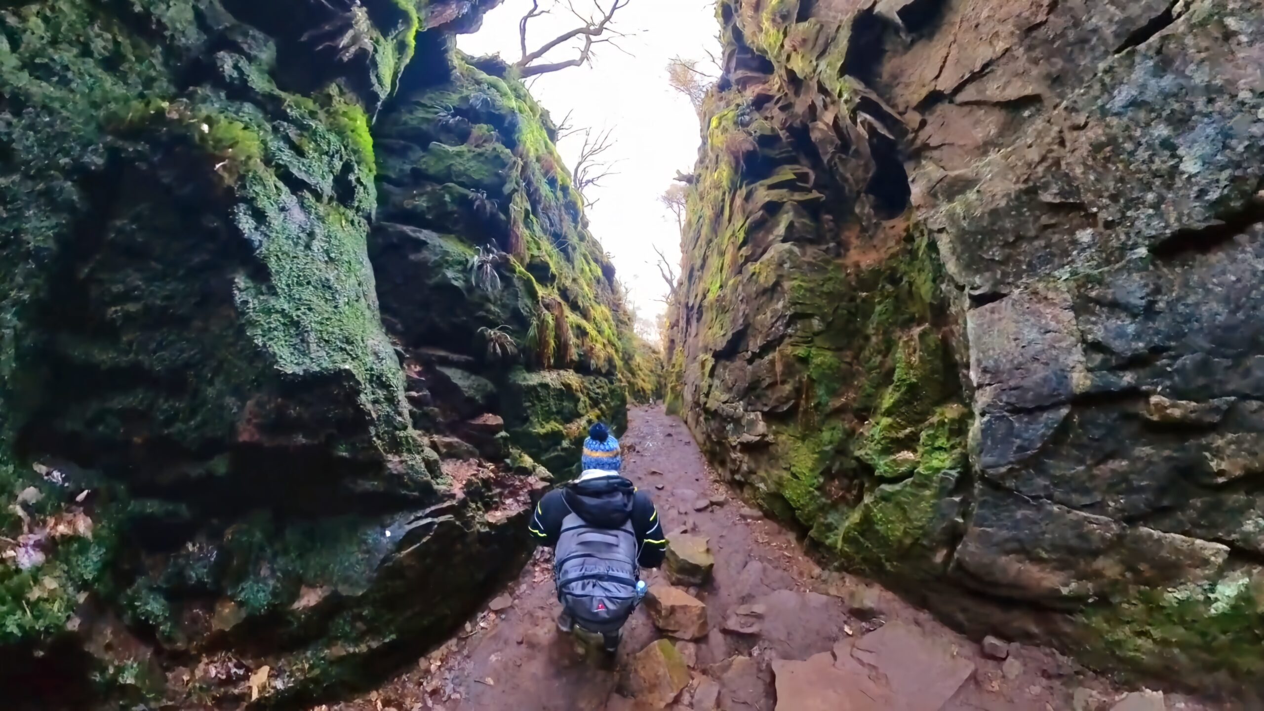 Embark on an Enchanting Journey: Lud’s Church – A Geological Marvel in ...
